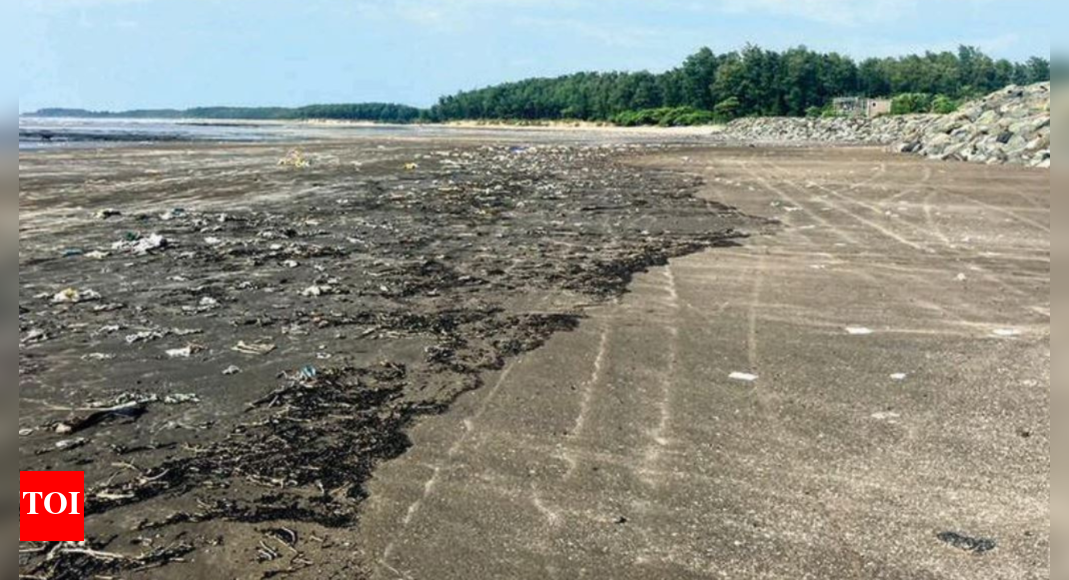 Gujarat: Tarballs paint picturesque Nargol beach in Valsad black ...