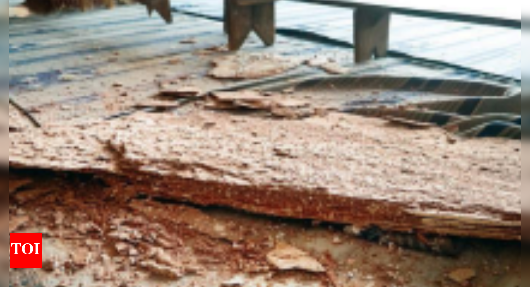 Delhi: Stone slab falls off Fatehpuri Masjid just before prayers ...