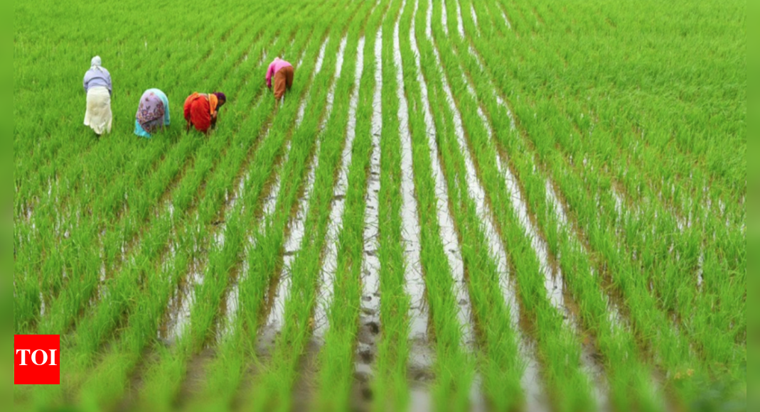 Farmers from 25 states land in Telangana to study agricultural ...