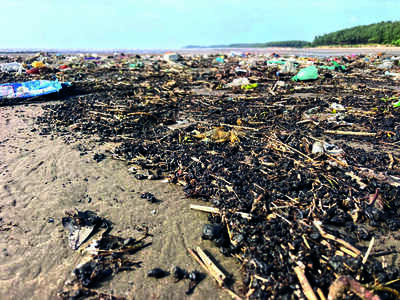 Tarballs Paint Picturesque Nargol Beach In Valsad Black | Surat News ...