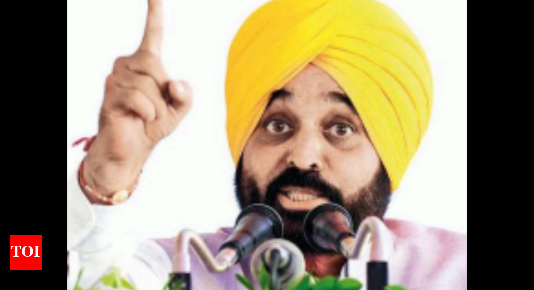 Jalandhar Mayor Writes To Cm On Streetlight Project | Chandigarh News ...