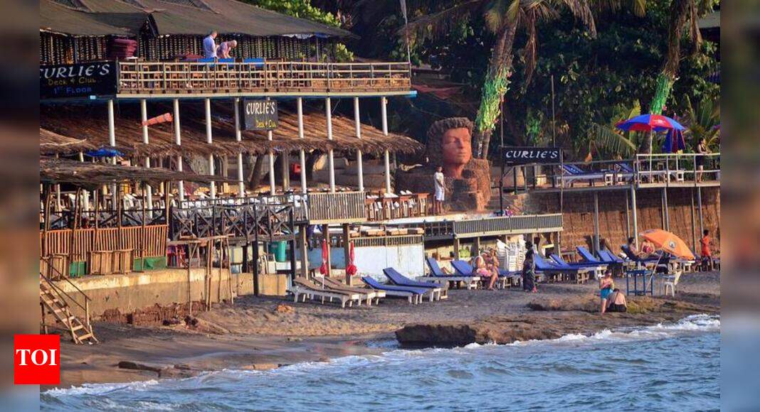 Curlies owner arrested after meth found in shack toilet | Goa News ...