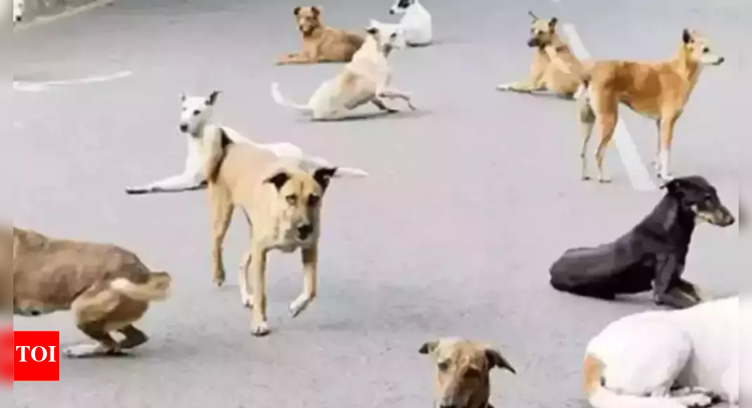 Kerala: Rising Rabies Deaths: Problems With ‘administration’ Of Serum ...