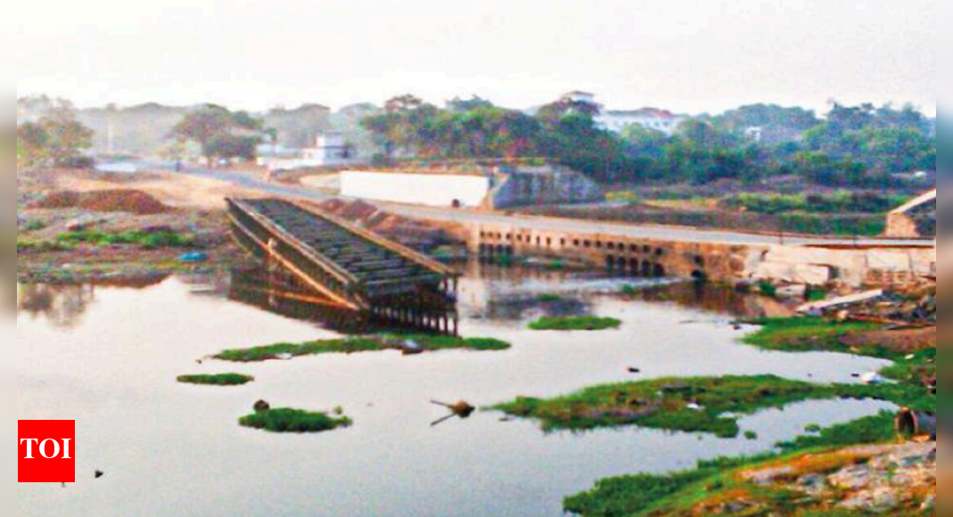 Tamil Nadu: New bridge over Adyar river soon | Chennai News - Times of ...
