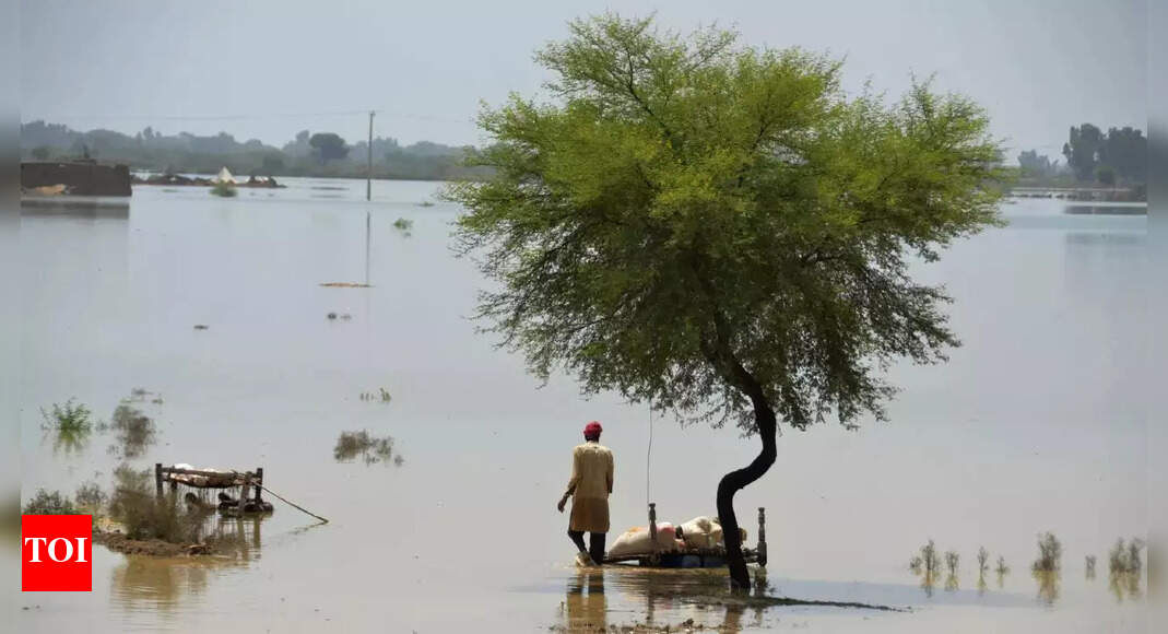 Pakistan Floods: Pakistan fatal flooding has hallmarks of warming ... Pakistan Floods: Pakistan fatal flooding has hallmarks of warming ...