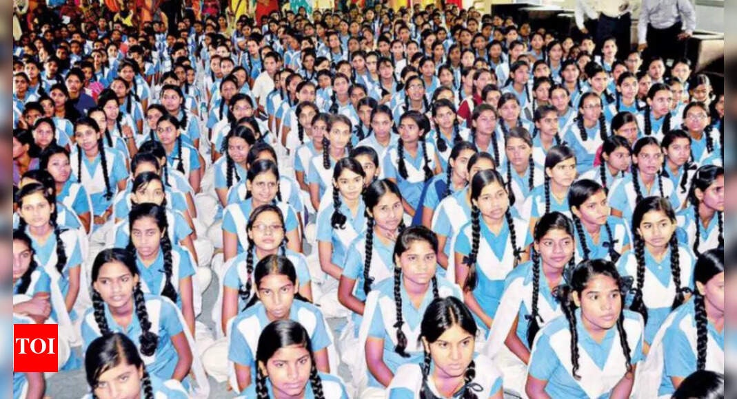 Rajasthan To Launch Coding Classes In Schools From Next Session rajasthan-to-launch-coding-classes-in-schools-from-next-session