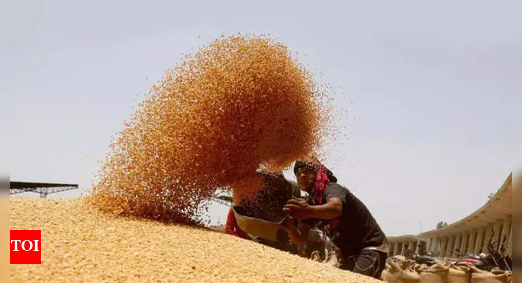 Rice: Why India has a rice and wheat problem this year | India News ...