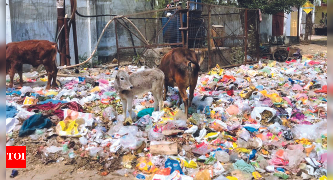 No respite from garbage stink in Patna | Patna News - Times of India