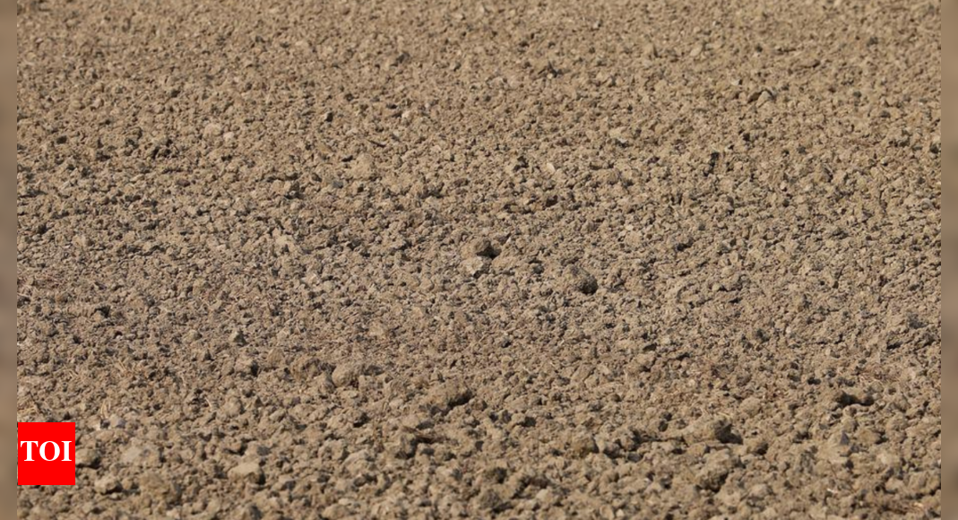 Kia: Karnataka: Village soil to be collected for KIA theme park ...