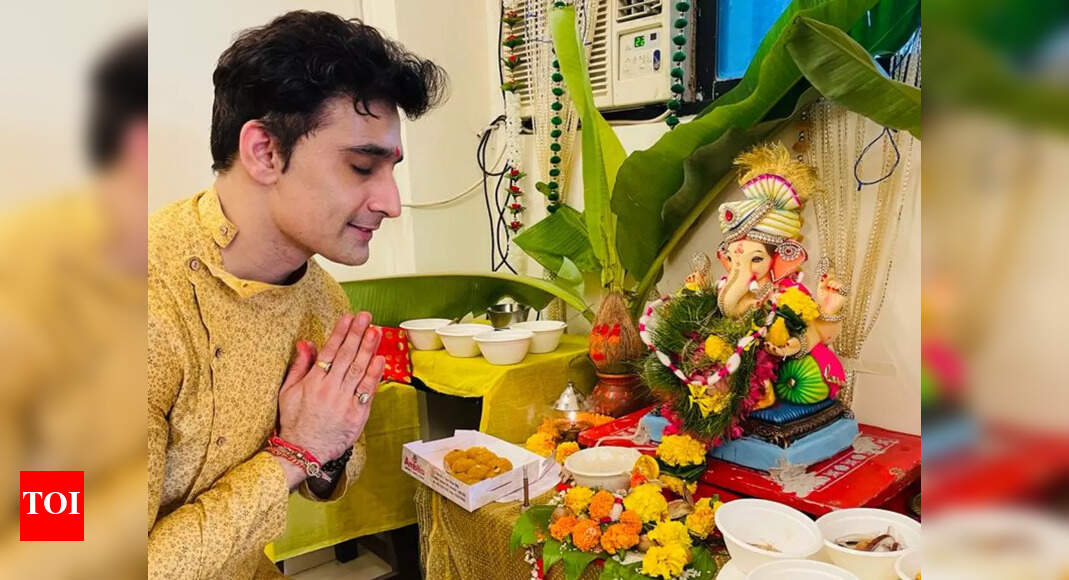 Aladdin – Naam toh Suna Hoga's Vikas Grover excited about Ganesh ...
