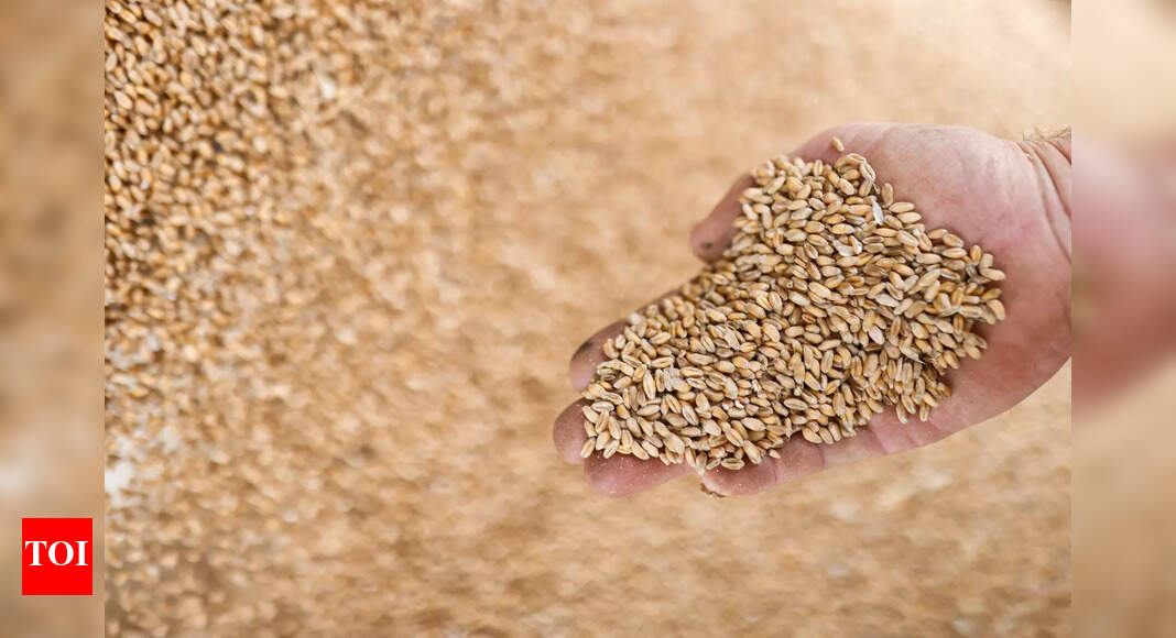 Paddy Crop: About Rs 2.1 trillion worth paddy, wheat procured from ...