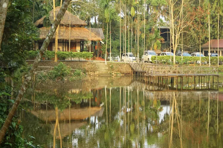 Nature retreats in Assam that deserve a stay | Times of India Travel