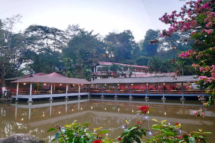 Nature retreats in Assam that deserve a stay | Times of India Travel