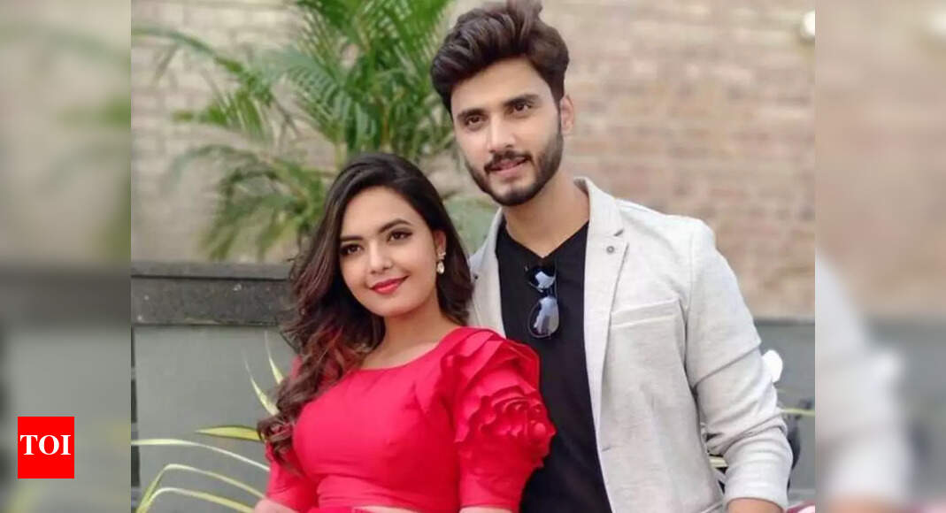 Bigg Boss Telugu 6 contestants Marina Abraham and Rohit Sahni: All you ...