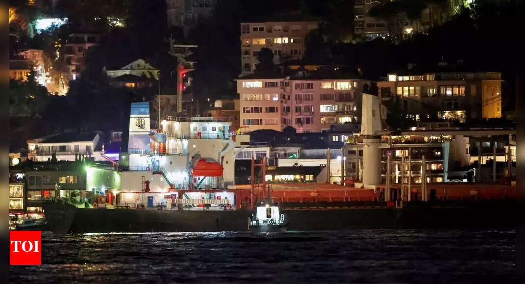 Istanbul: Grain ship from Ukraine towed to anchorage in Istanbul ...