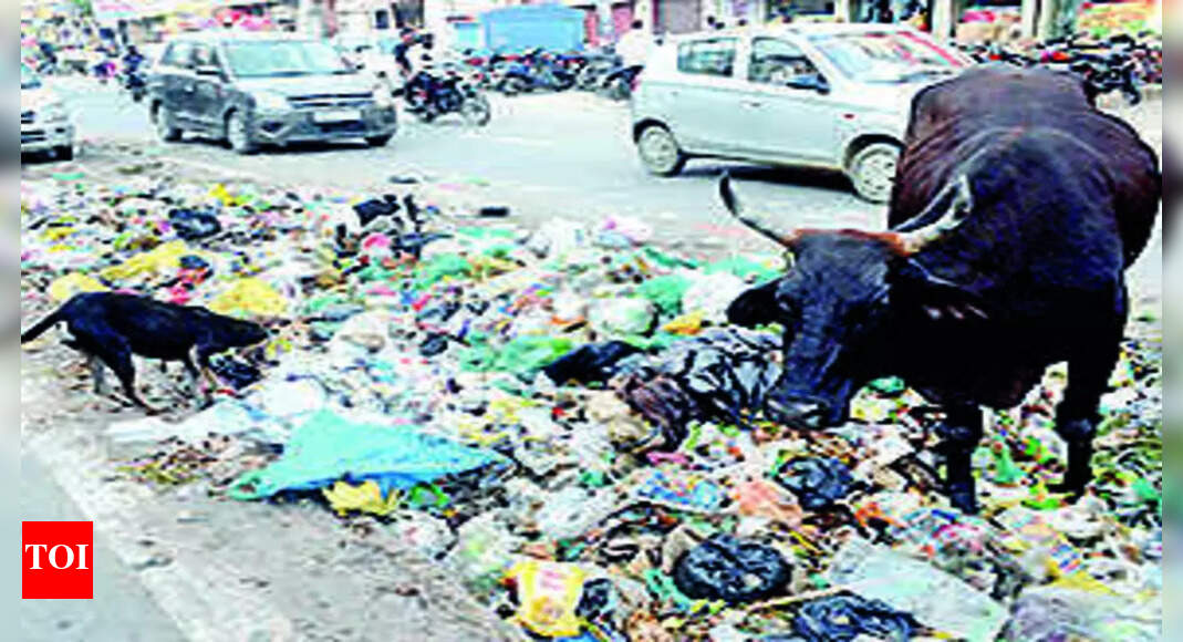 Government Takes Time, Sanitation Workers Continue Indefinite Strike ...