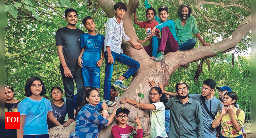 Faridabad: Why clear mini forest for a footpath, ask students who ...