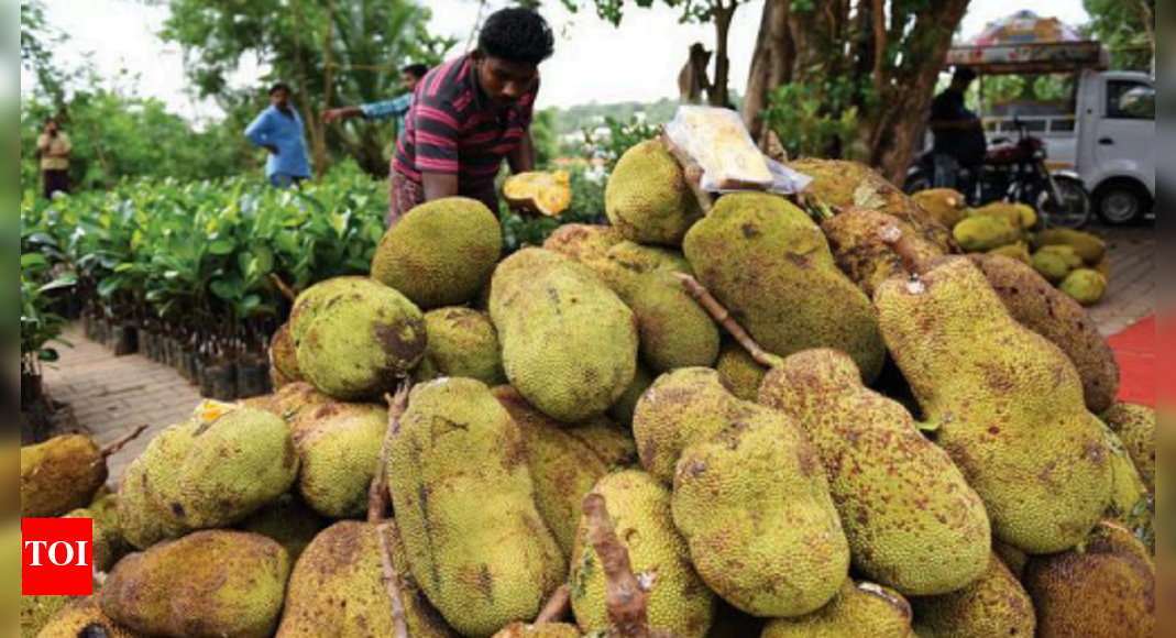 Biryani: Of jackfruit biryani, vegan meat and Goa’s problem with the ...