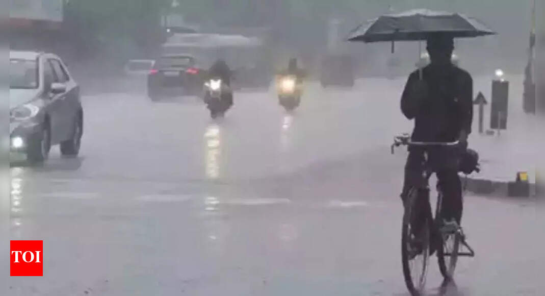 Fairly widespread light to moderate rainfall forecast for parts of India | India News - Times of ...