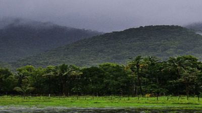 Goa: Coastal body approves new formula to recover costs | Goa News ...