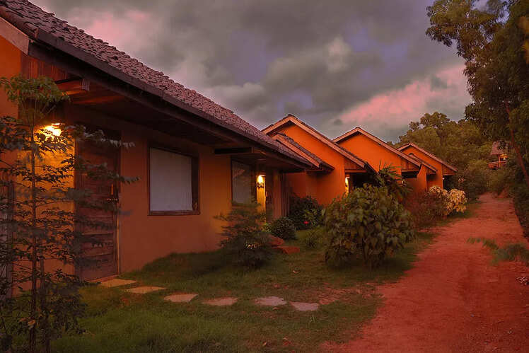 Nature retreats in Goa you need to explore | Times of India Travel