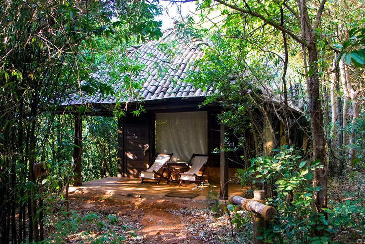 Nature retreats in Goa you need to explore | Times of India Travel