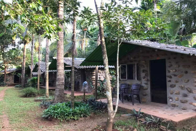Nature retreats in Goa you need to explore | Times of India Travel