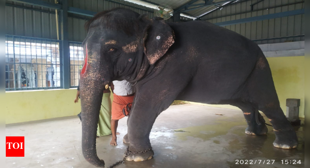 PETA must apologise for false claims about ill-treatment of TN temple ...