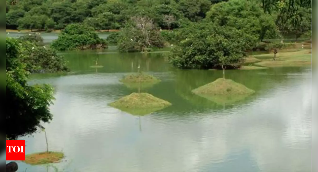 Tamil Nadu: Otteri lake to be restored for Rs 1.5 crore | Chennai News ...