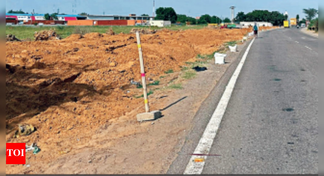 Brakes On Highway Over Re-greening: 12k Trees Gone, Nothing Planted Yet ...