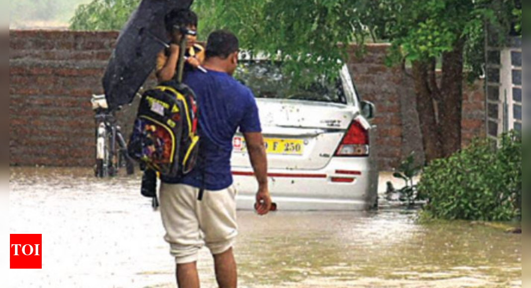 Vidarbha receives 24% excess rainfall this monsoon, Gadchiroli wettest ...