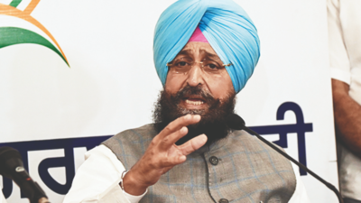 Partap Bajwa asks CM Bhagwant Mann to 'come clean' on liquor policy | Chandigarh News - Times of ...