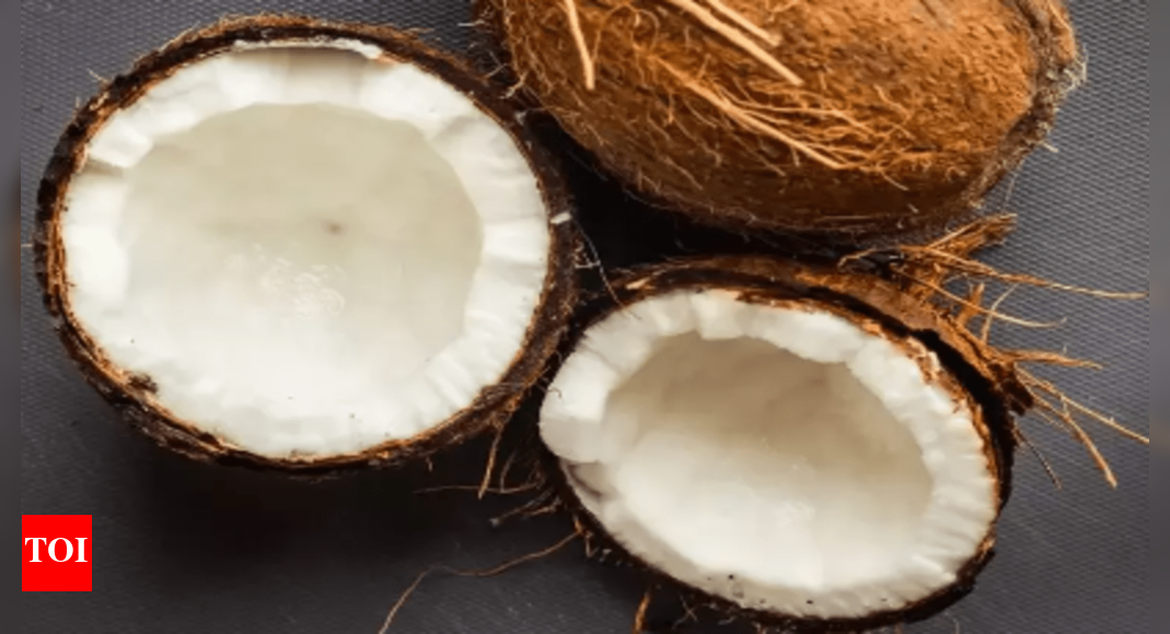 Bengaluru: Coconut prasadam holds up flyer at KIA | Bengaluru News ...