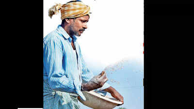 Centre to adopt state's e-crop model in PM's flagship schemes ...