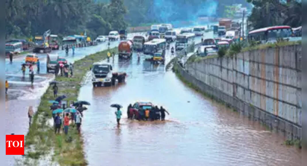 Flood Situation In Certain Parts Of Karnataka Still Grim Official