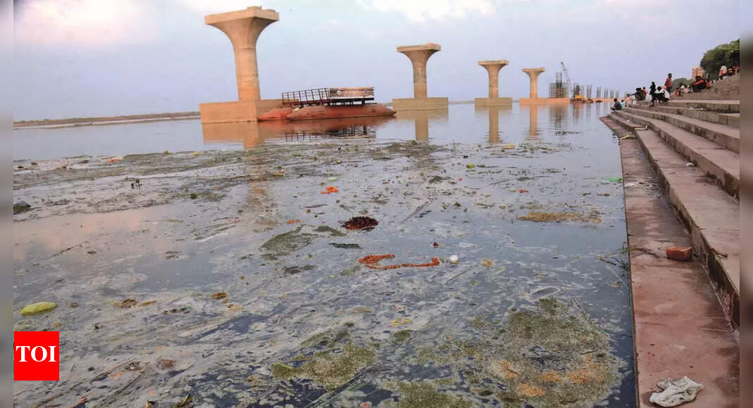 Clean Ganga water still a far cry in Patna | Patna News - Times of India
