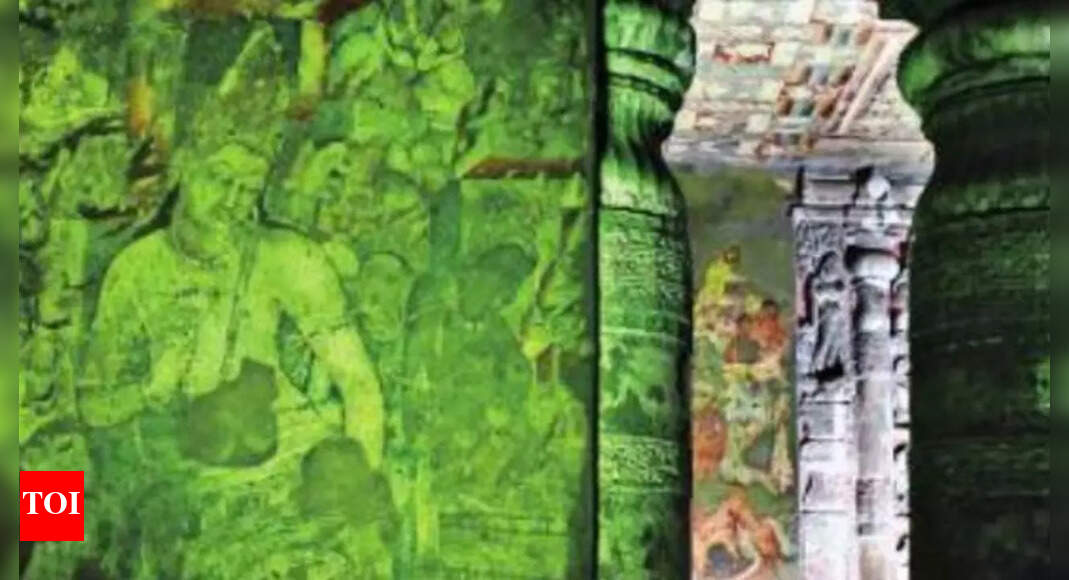 How visitors’ breath is destroying Ajanta’s ancient wonders - The Times ...