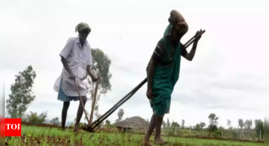Increase Working Hours In Veterinary Centres: Farmers | Coimbatore News ...