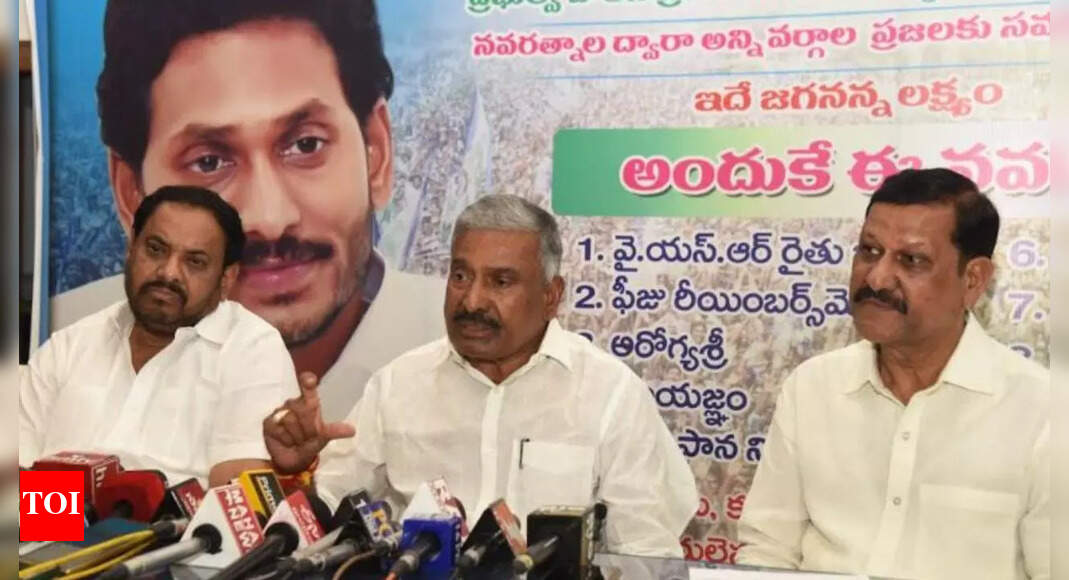 Andhra Pradesh: Minister Peddireddy slams Chandrababu Naidu for false propaganda over state's ...