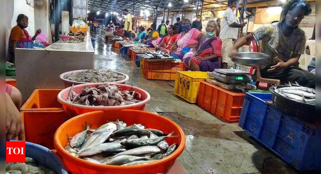 ‘CM sabotaged moves to set up fish testing lab’ | Goa News - Times of India
