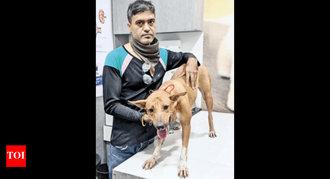 Hounded: Bopal resident moves to farm with 16 dogs | Ahmedabad News ...