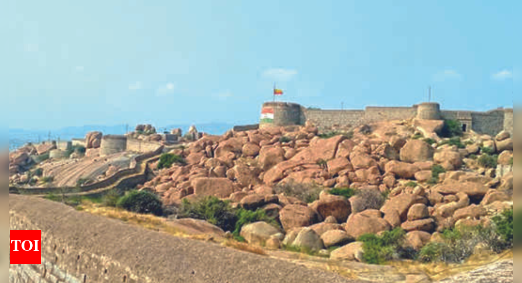 Yatra: Bharat Jodo Yatra: Congress plans massive rally in Ballari ...