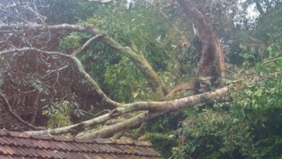 Kerala: Gustnado hits Kasaragod, Thrissur | Kozhikode News - Times of India