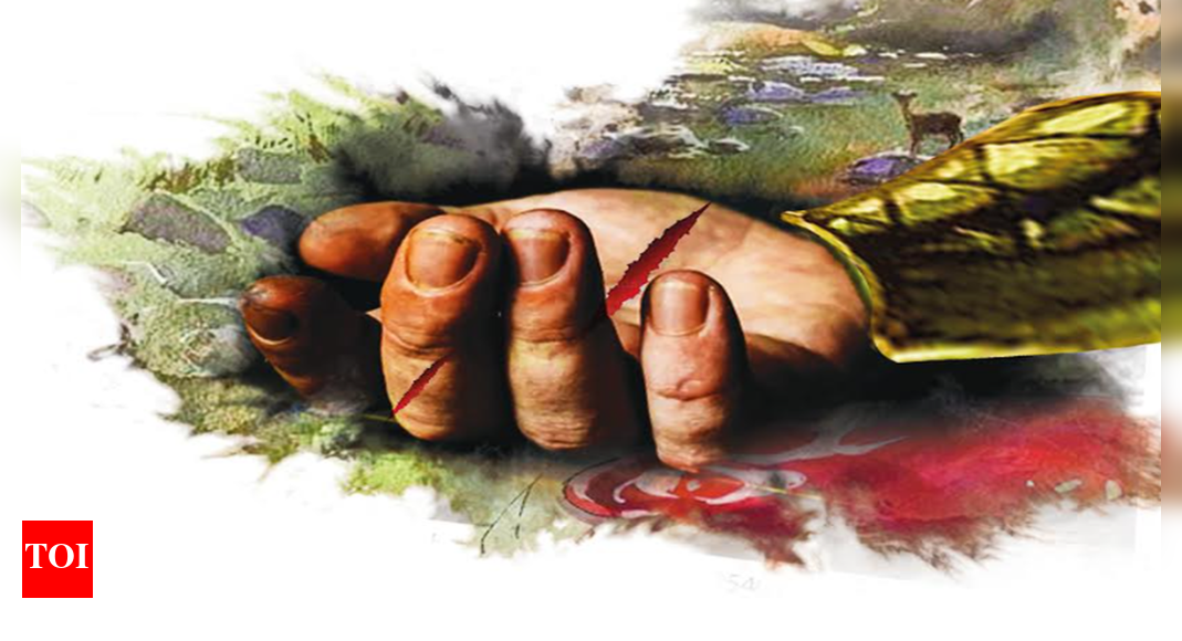 How did Aditha Karikalan's killers get away? | Chennai News - Times of ...