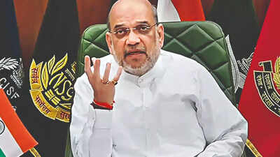 Amit Shah: BJP will form govt in Gujarat again, ‘dream sellers’ will lose | Ahmedabad News ...