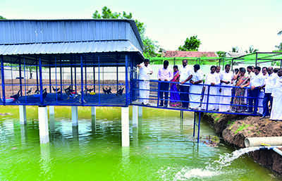 Integrated Farming On 1k Acre In Trichy | Trichy News - Times of India