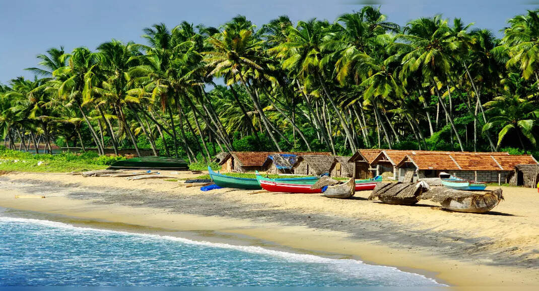 What do you think of these offbeat experiences in Goa? | Times of India ...