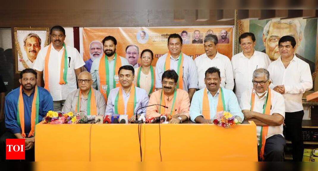 New innings, same tale for voters in Santa Cruz, Nuvem | Goa News ...