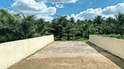 Karnataka: This Rs 1.5 crore bridge across Vrishabhavathi leads nowhere ...