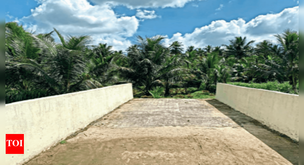 Karnataka: This Rs 1.5 crore bridge across Vrishabhavathi leads nowhere ...